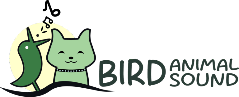 Play Bird Sounds and Single Download - Bird Animal Sound